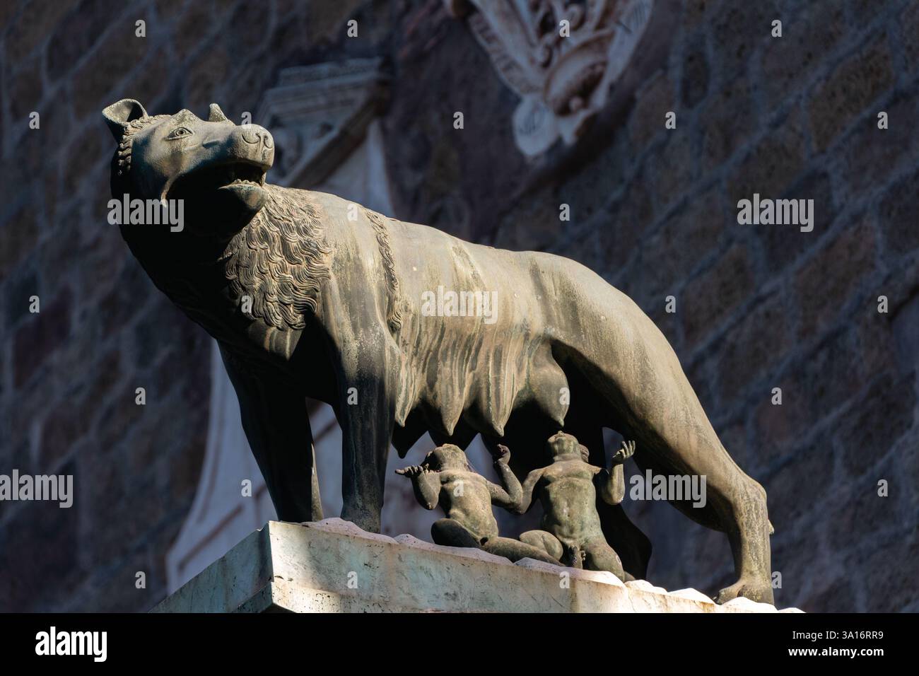Replica of the Capitoline Wolf, Luperca with Romulus and Remus, in ...