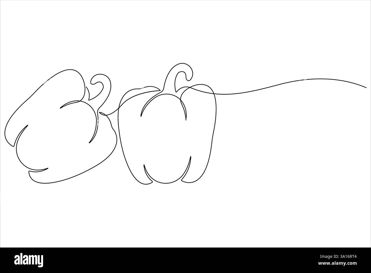 Capsicum continuous one line art drawing of vector illustration Stock ...