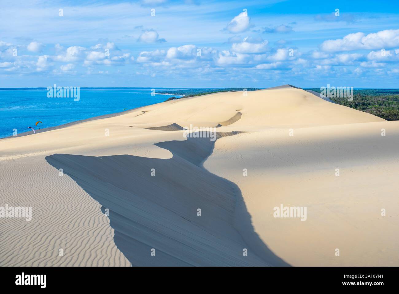 France, Gironde, Pyla-sur-Mer, Grand Site of the Dune du Pilat ...