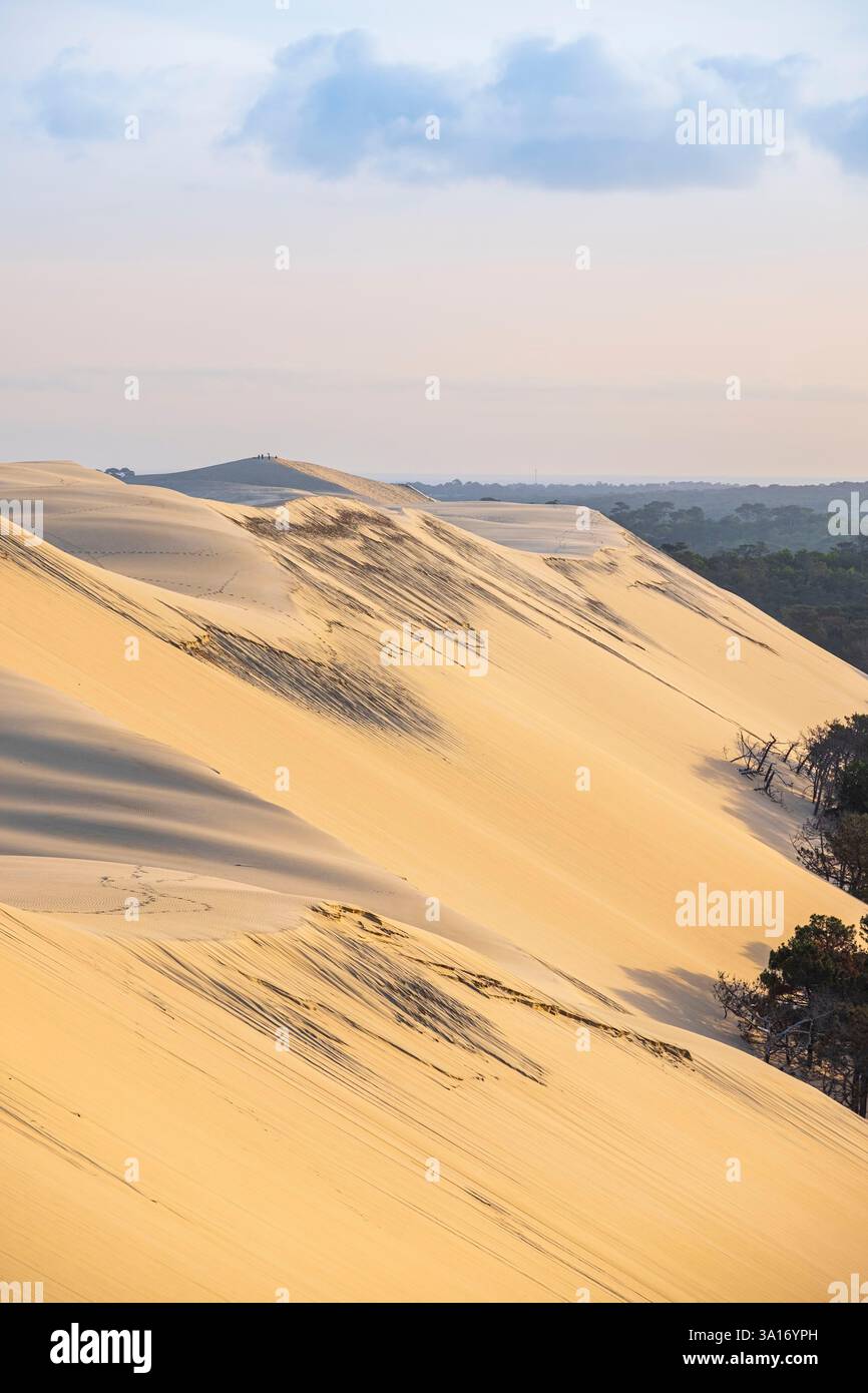 France, Gironde, Pyla-sur-Mer, Grand Site of the Dune du Pilat ...