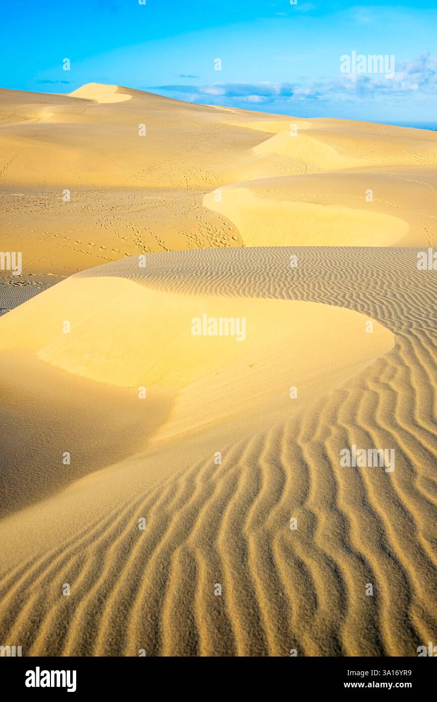 France, Gironde, Pyla-sur-Mer, Grand Site of the Dune du Pilat ...