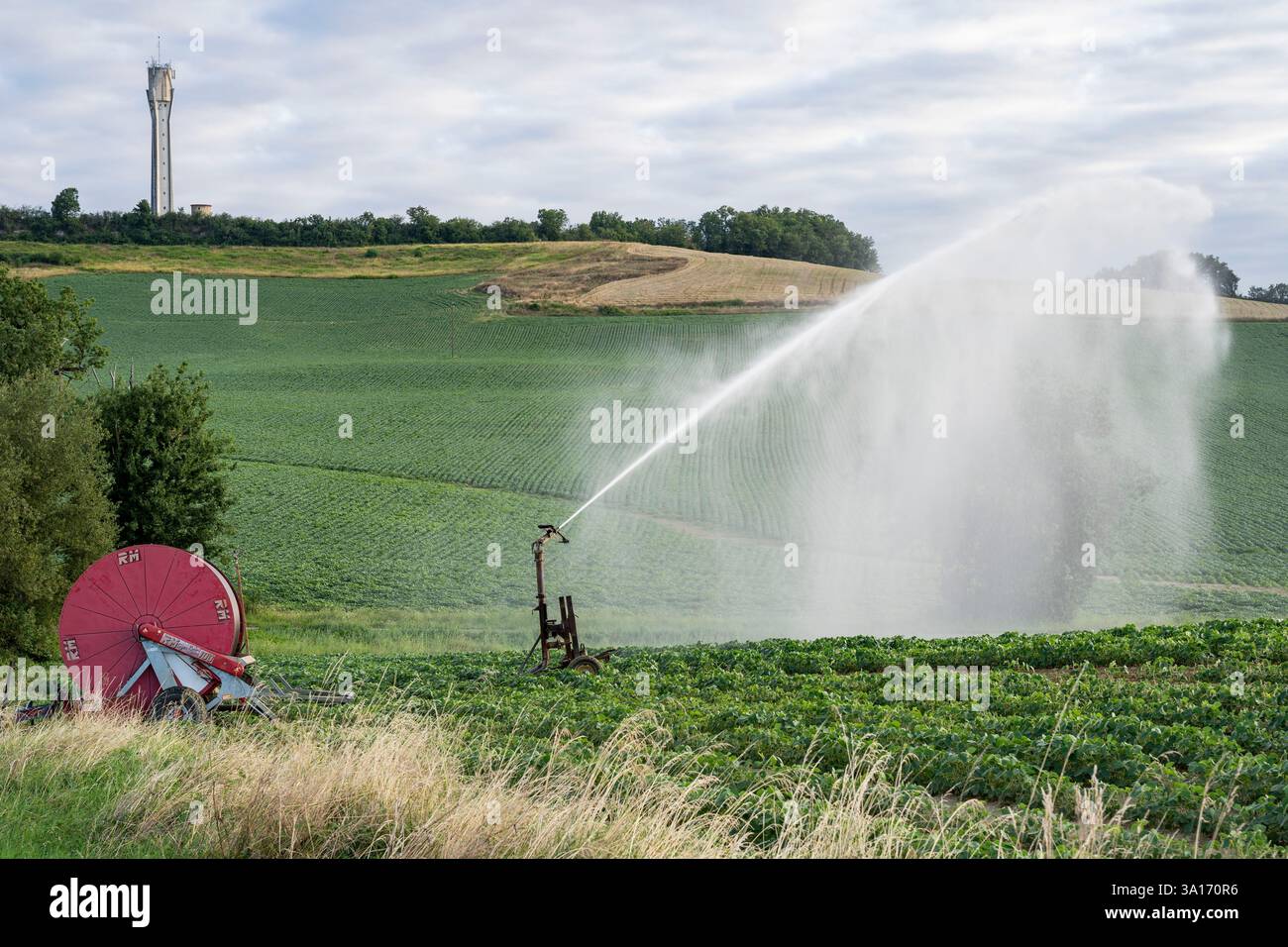France, Gers, watering a cultivated field using a sprinkler irrigation ...