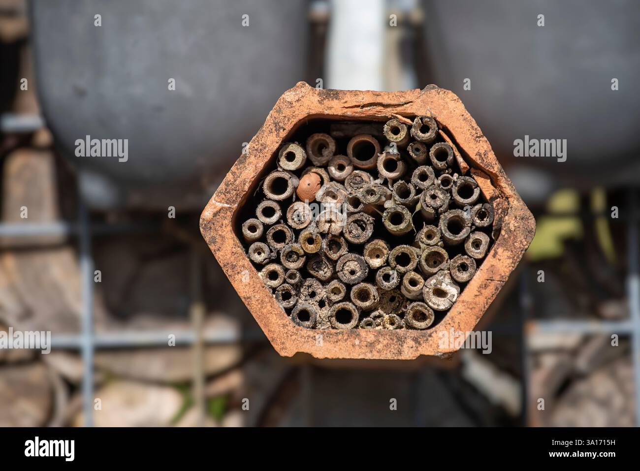 A bee hotel, bug or insect hotel installed on a fence in a Sydney ...