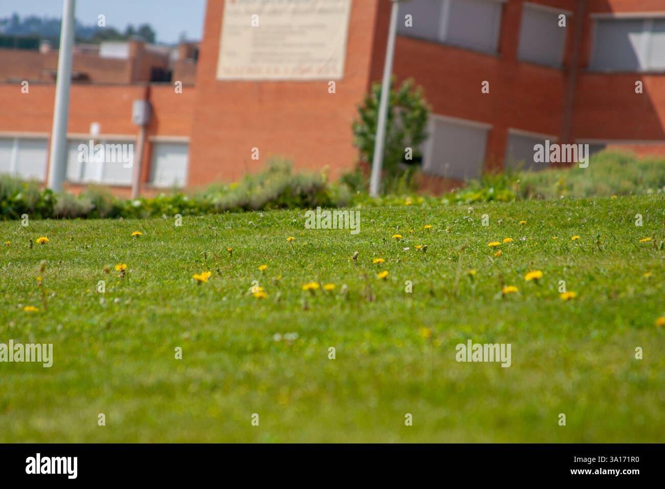 Campus setting with a grassy field and a building. Low-angle view ...