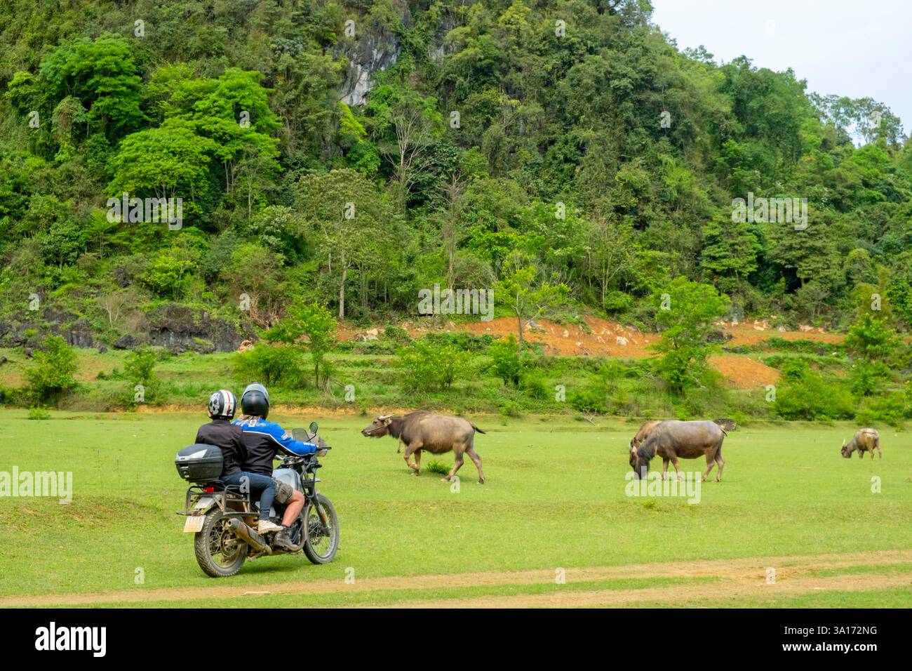 Vietnam, Upper Tonkin, Cao Bang province, Ha Giang Loop or Ha Giang ...