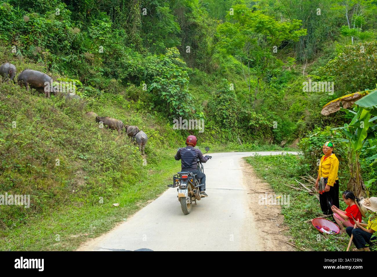 Vietnam, Cao Bang province, motorcycle raid among villagers, woman with ...