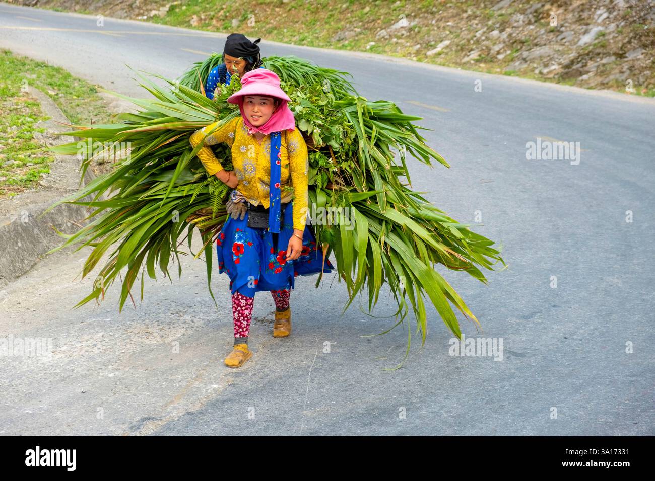 Vietnam, Upper Tonkin, Dong Van region, Ha Giang Loop or Ha Giang loop ...