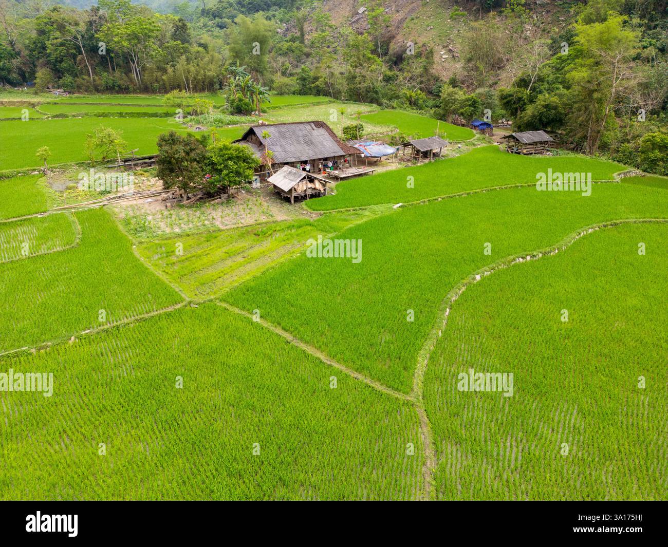 Vietnam, Upper Tonkin, Cho Ra region, rice fields (aerial view Stock ...