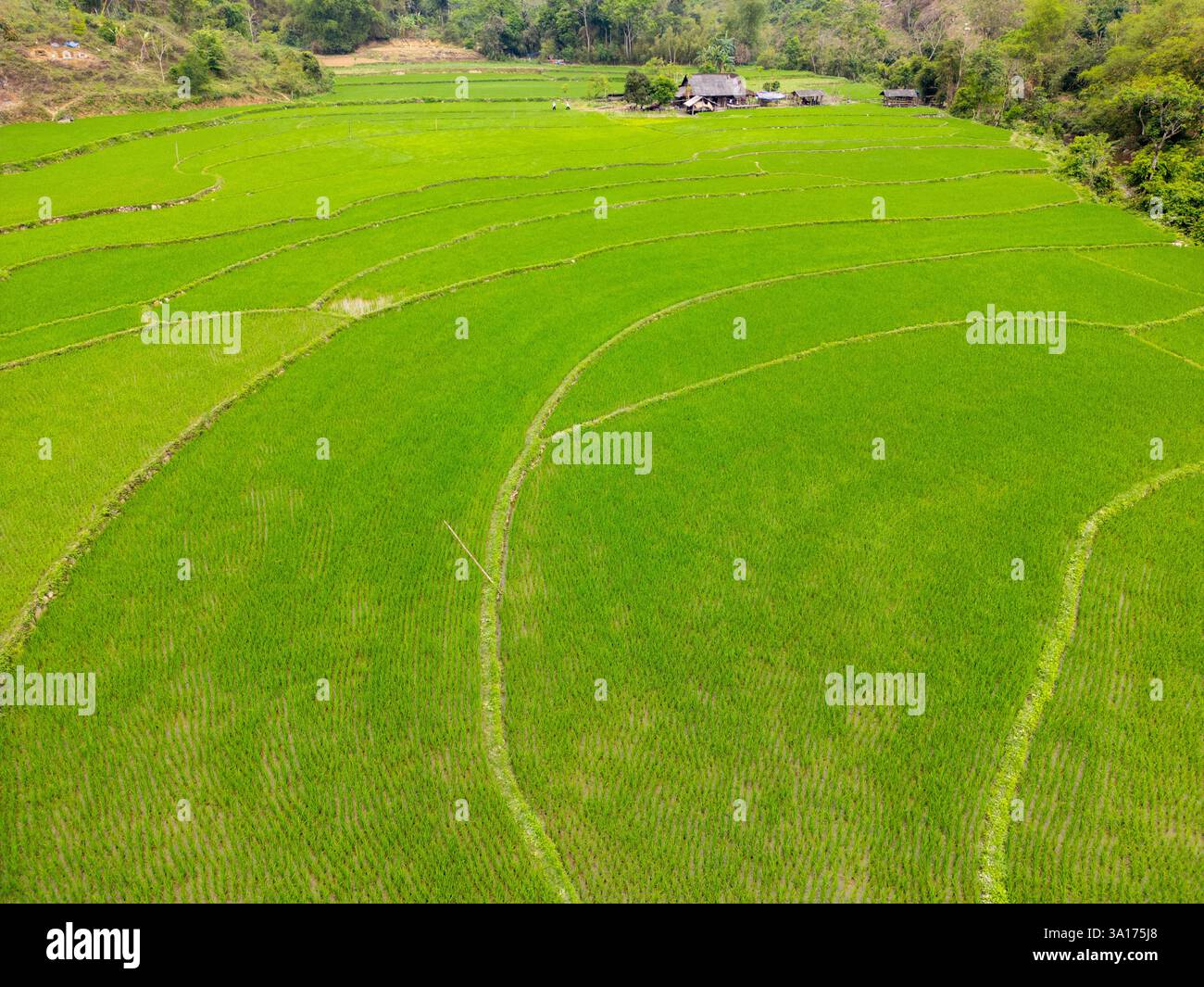 Vietnam, Upper Tonkin, Cho Ra region, rice fields (aerial view Stock ...