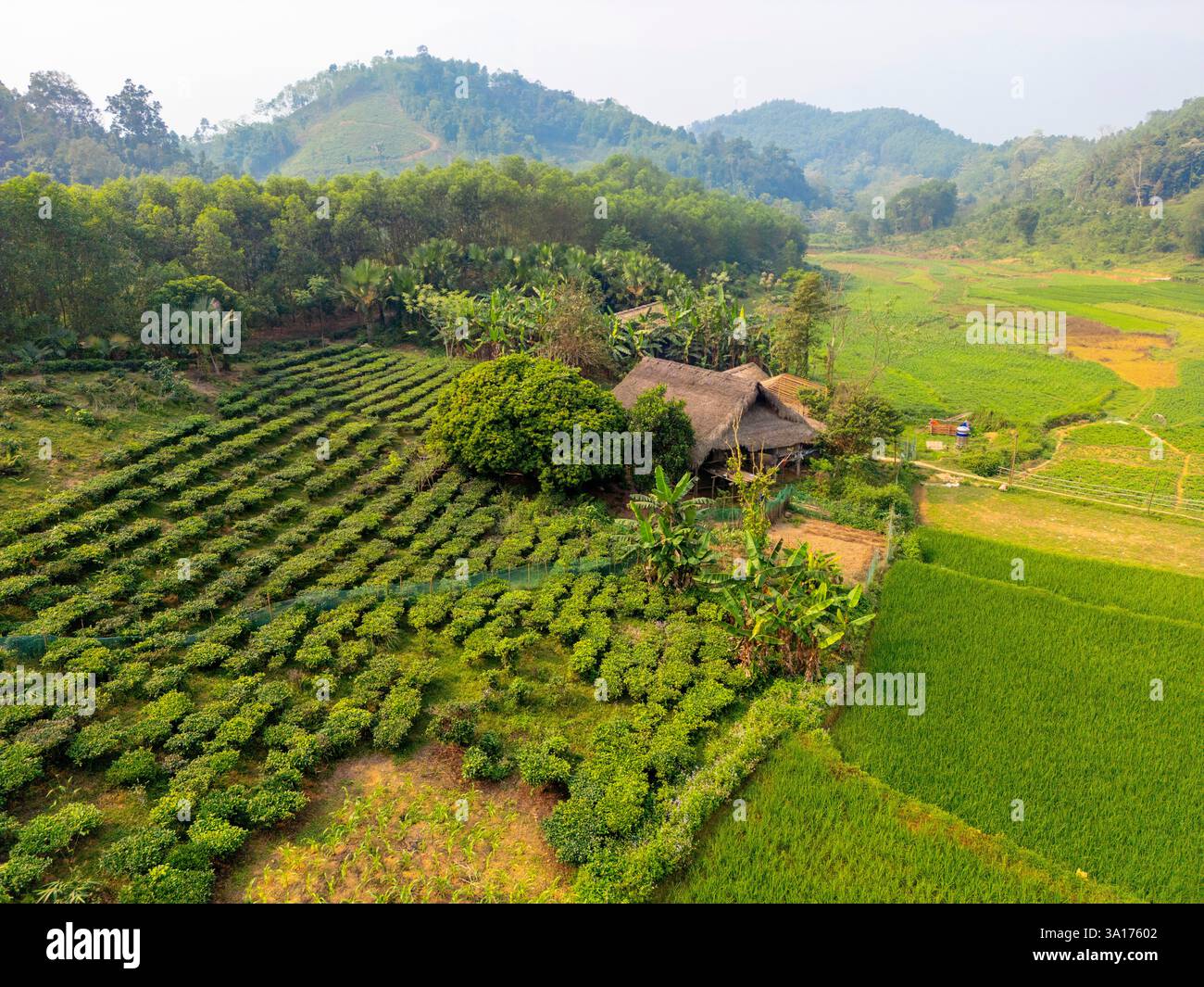 Vietnam, Upper Tonkin, Ha Giang province, Ha Giang Loop or Ha Giang ...