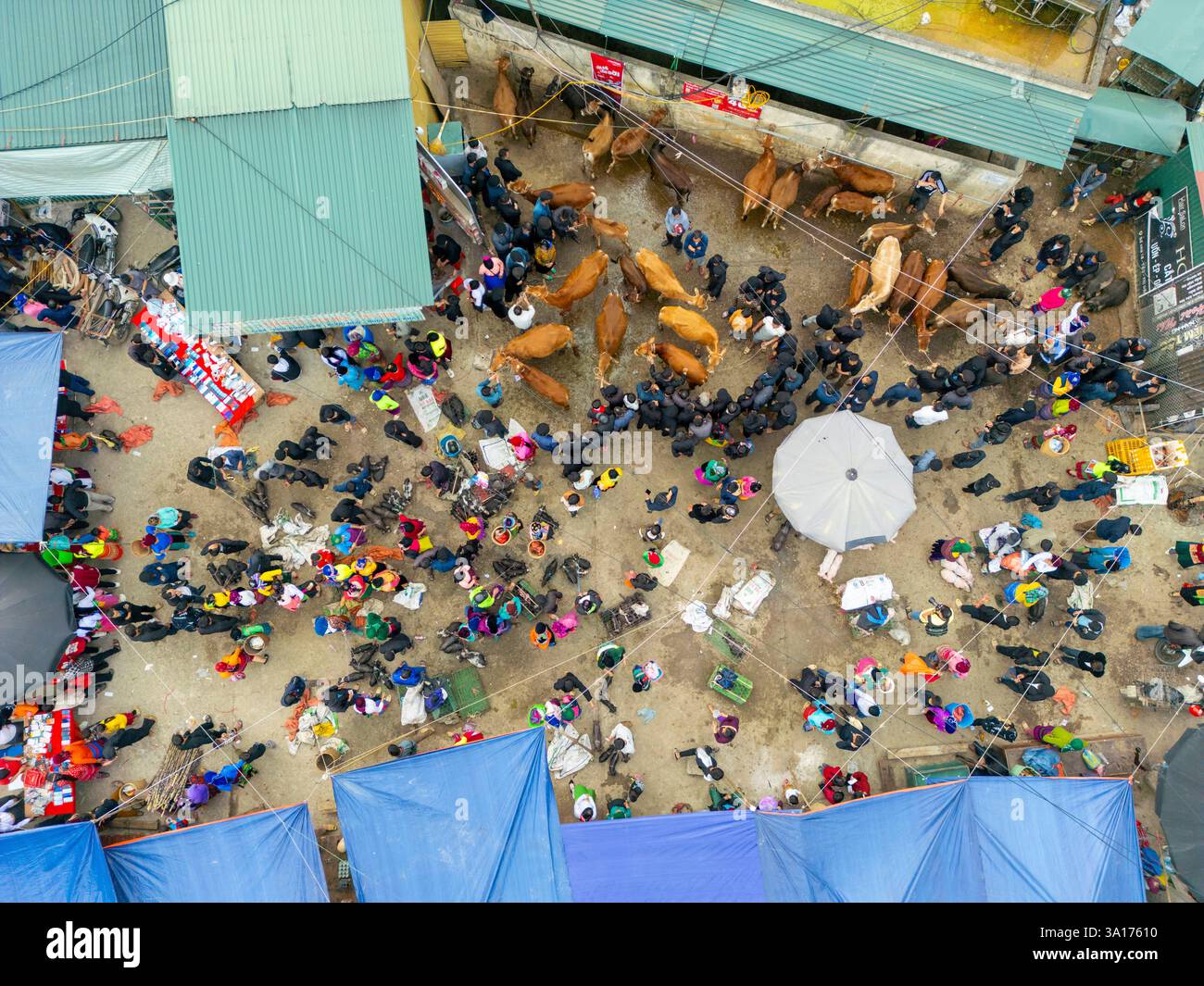 Vietnam, Upper Tonkin, Cao Bang province, Ha Giang Loop or Ha Giang loop, Bao Lac town, the ...