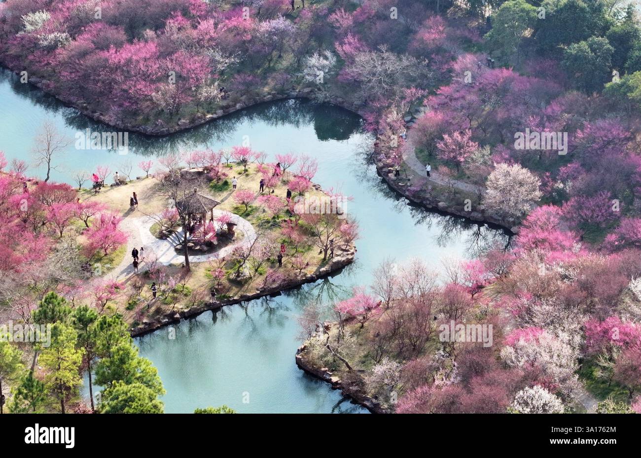 Aerial photo shows the spring scenery of the Slender West Lake scenic ...