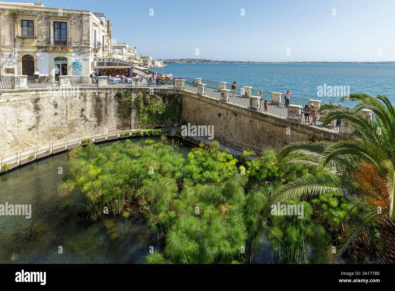 Italia, Sicilia, Ortigia island listed as World Heritage by UNESCO ...
