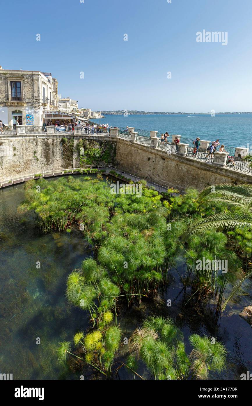 Italia, Sicilia, Ortigia island listed as World Heritage by UNESCO ...