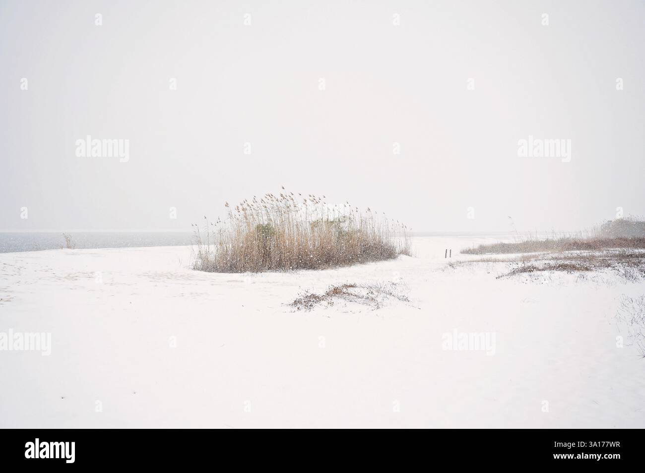 Snow-covered beach in a rare winter scene on the Gulf Coast Stock Photo ...