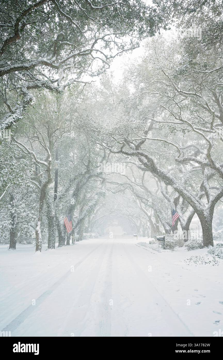 Snow-covered oak-lined street in Magnolia Springs, Alabama Stock Photo ...