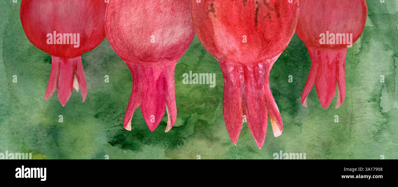 Four textured pomegranates watercolor border on textured green ...