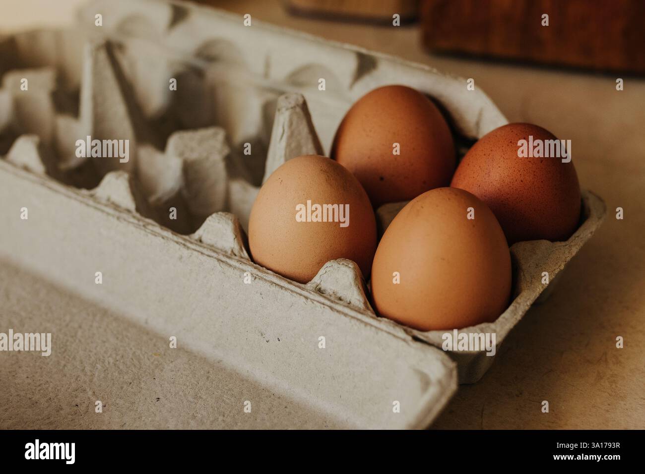 Four brown speckled eggs sit in an open carton on counter Stock Photo ...