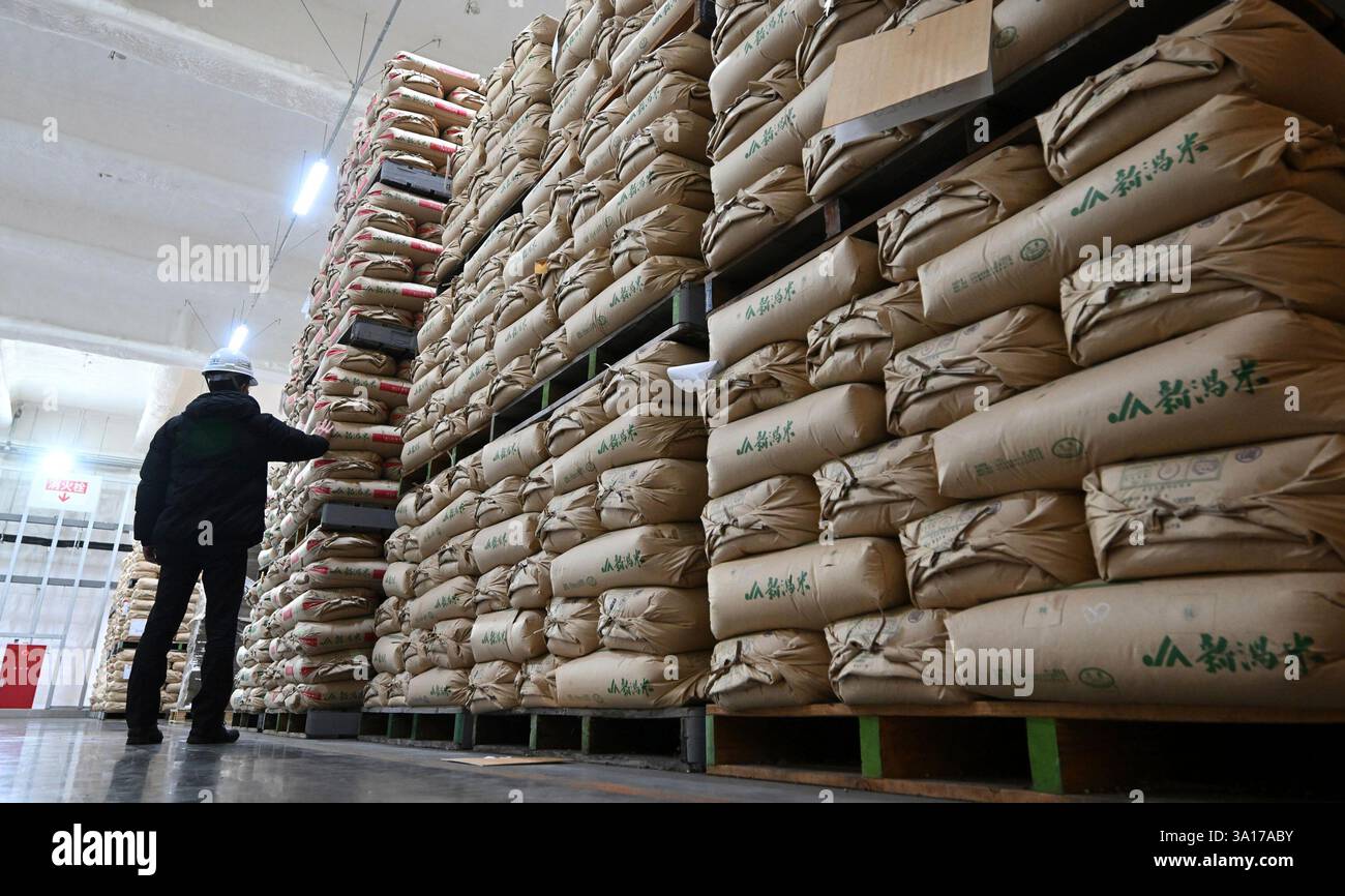 The photo shows stockpiles of rice in a warehouse in Kanagawa ...