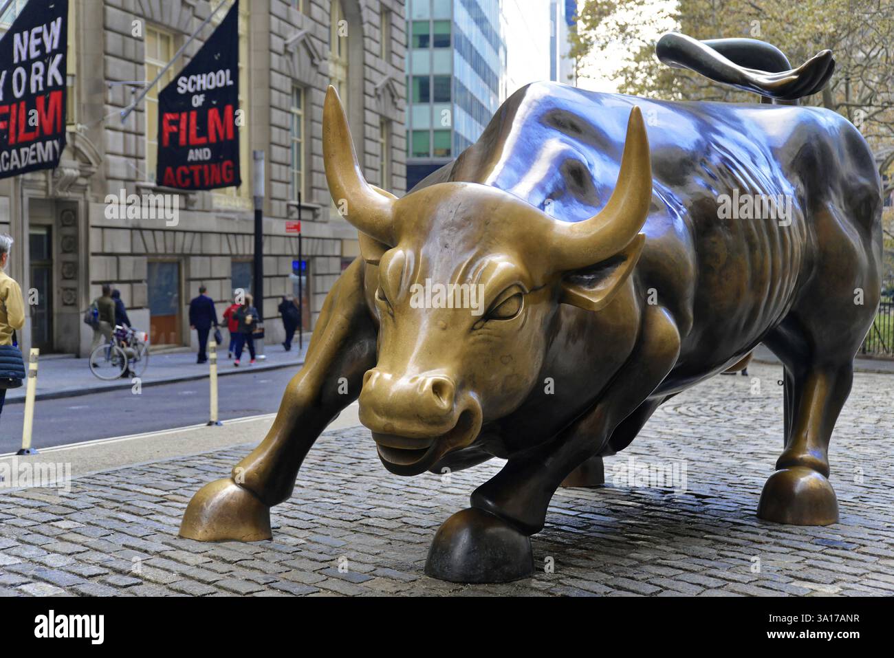 Bronze sculpture of the Charging Bull in the financial district of New ...