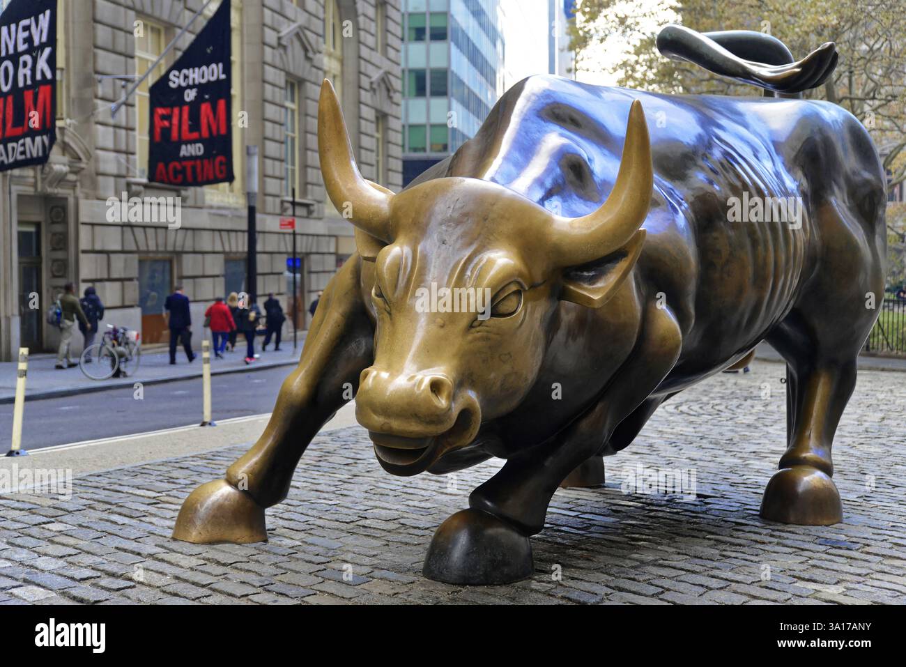 Bronze sculpture of the Charging Bull in the financial district of New York, Manhattan, New York ...