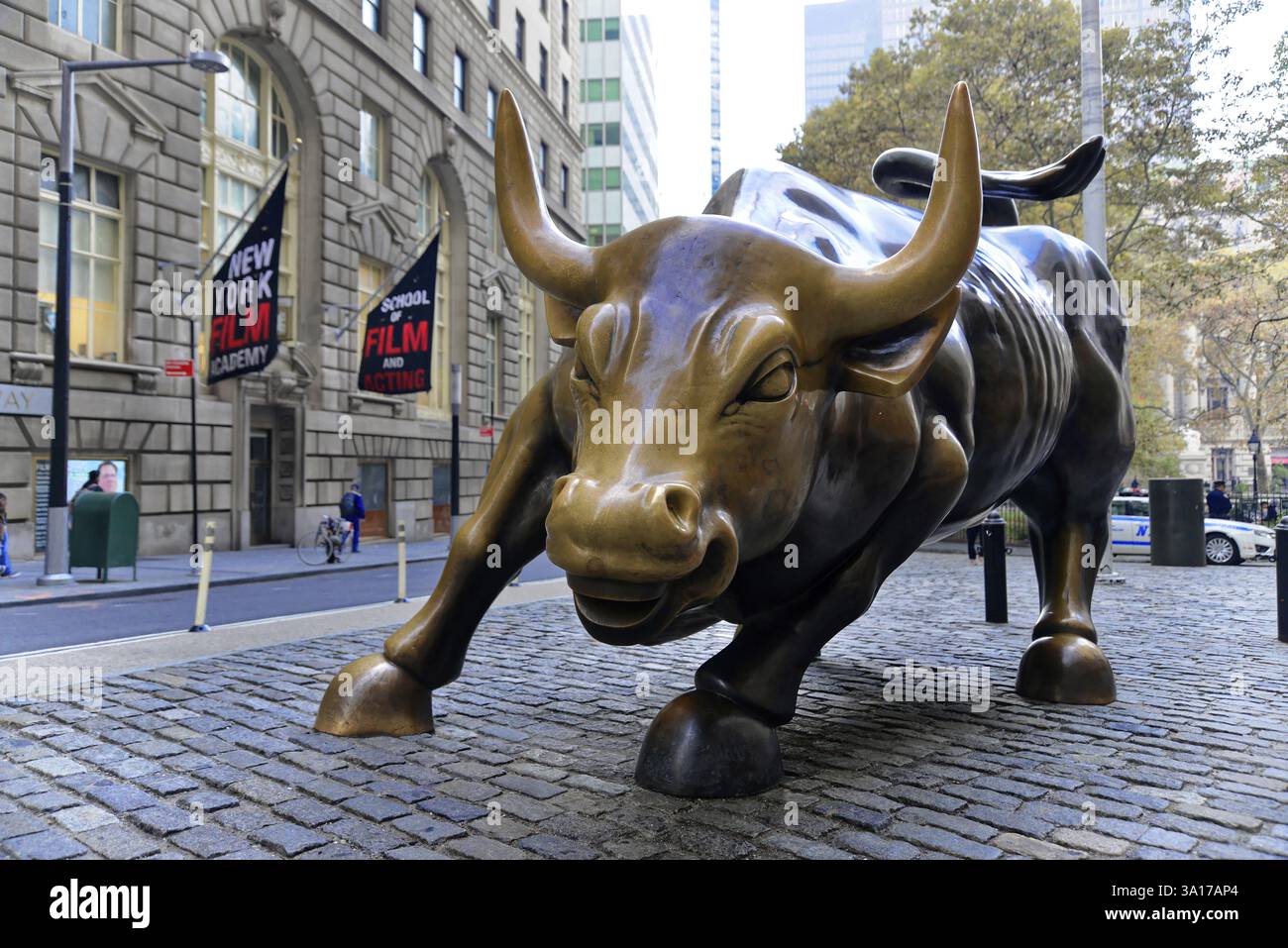 Bronze sculpture of the Charging Bull in the financial district of New York, Manhattan, New York ...
