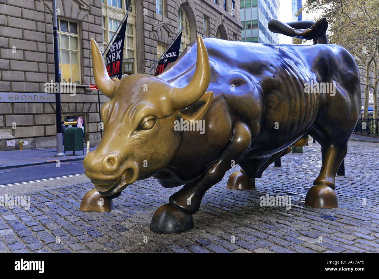 Bronze sculpture of the Charging Bull in the financial district of New York, Manhattan, New York ...