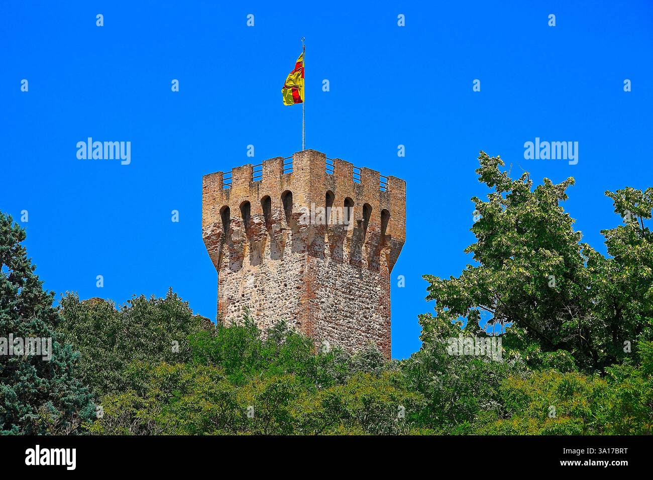 Carrarese hi-res stock photography and images - Alamy