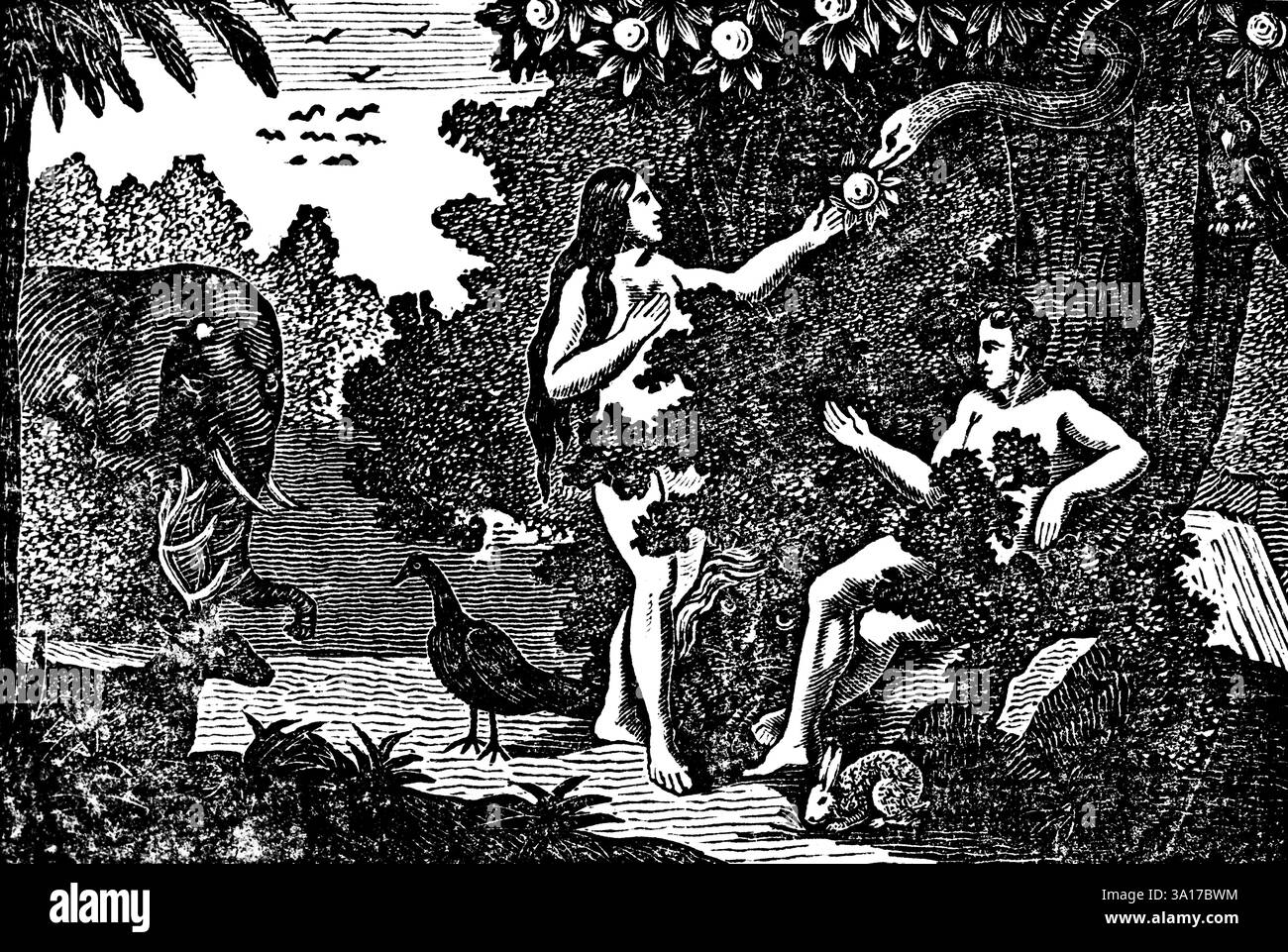 Eve plucks an apple, seduced by the serpent, the sin of the first ...