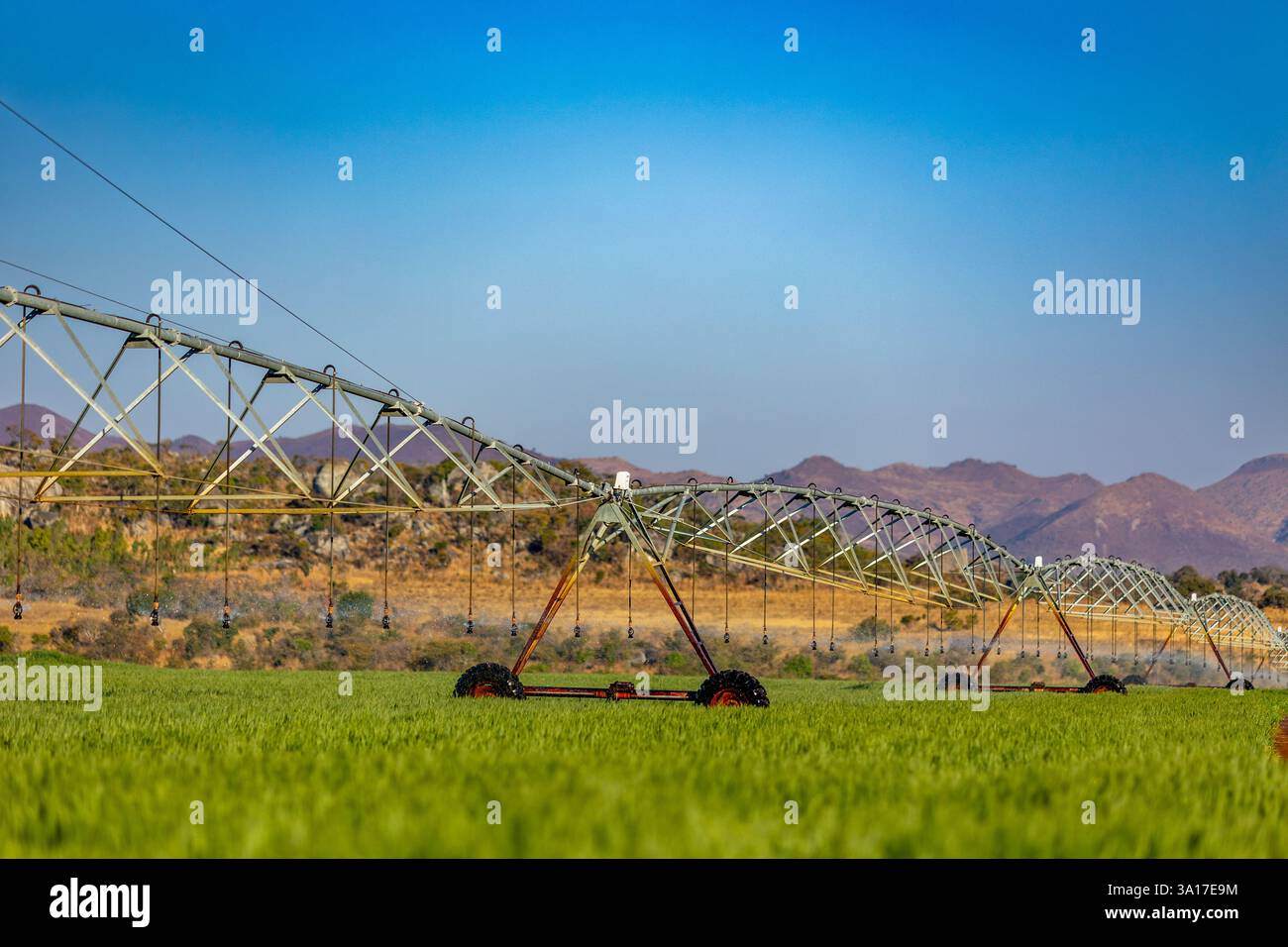 Farming in zimbabwe hi-res stock photography and images - Alamy