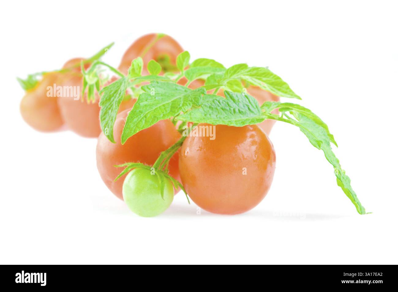 Composition of tomato close up Stock Photo - Alamy