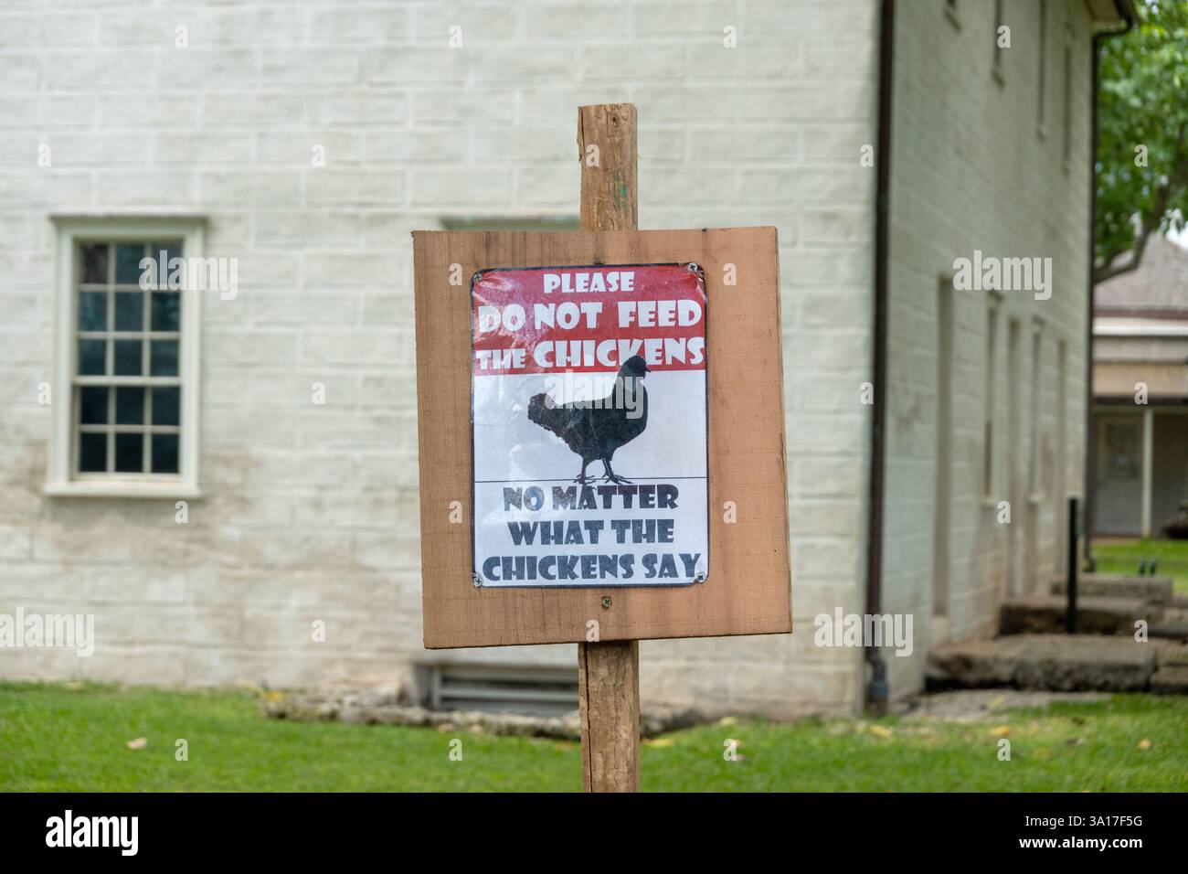 Funny Chicken Sign At The Hawaiian Mission Houses Historic Site And ...