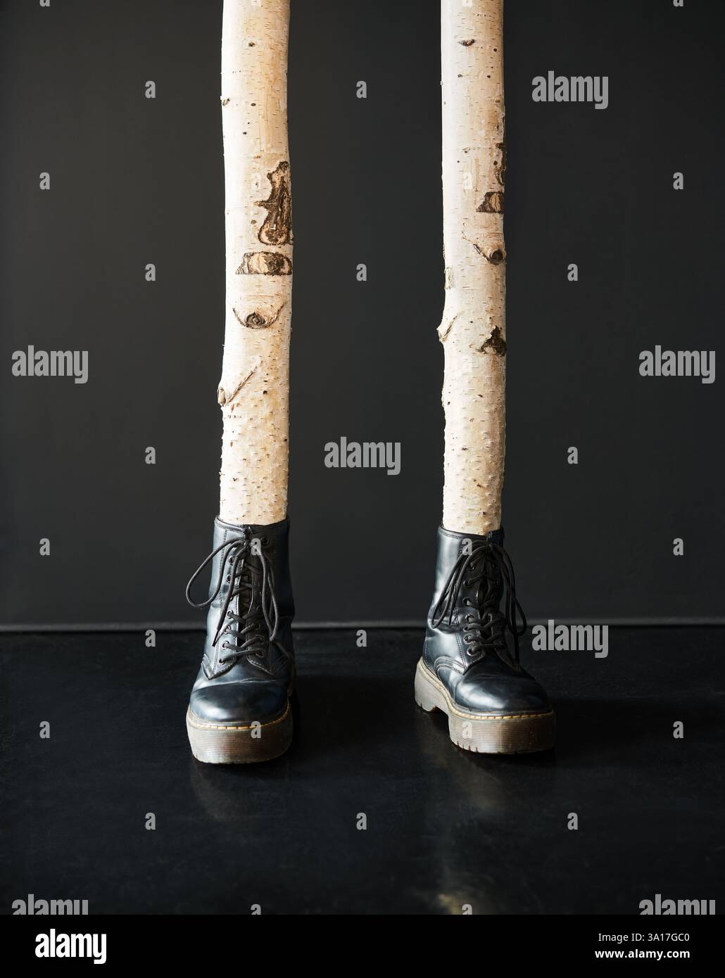 Creative surreal concept of birch tree trunks as human legs wearing ...
