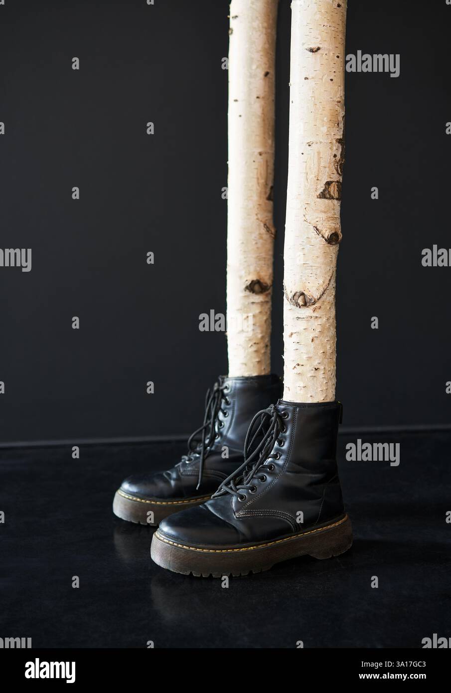 Creative surreal concept of birch tree trunks as human legs wearing ...