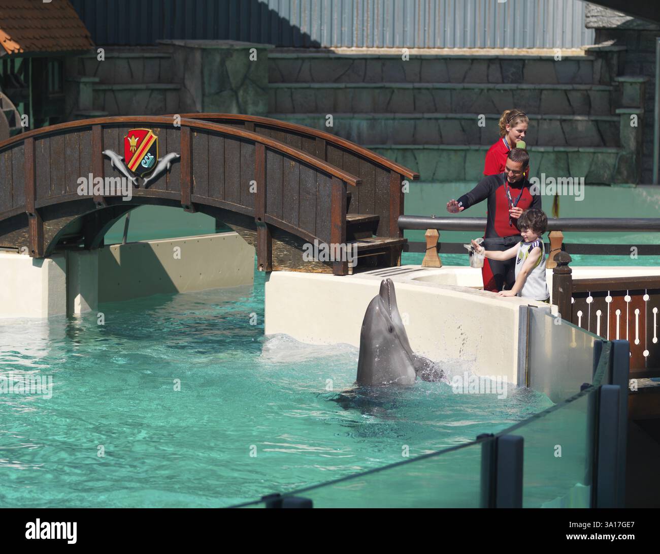 Child feeding a dolphin at Marineland Niagara Falls Ontario Canada 2009 ...