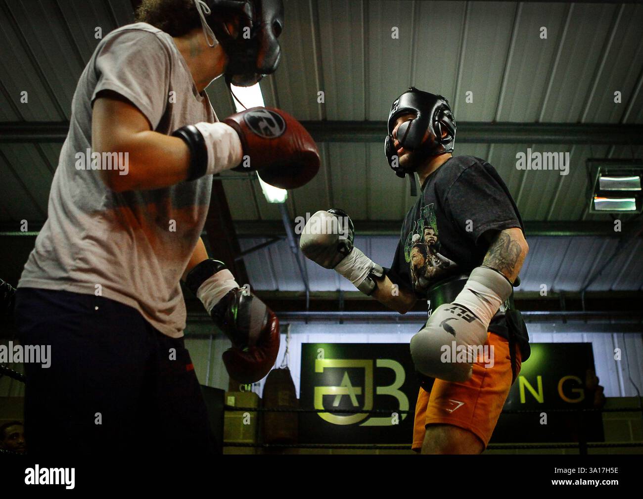 Professional Lightweight Boxer Elison ‘Sweet Boy’ Suci from Albania ...