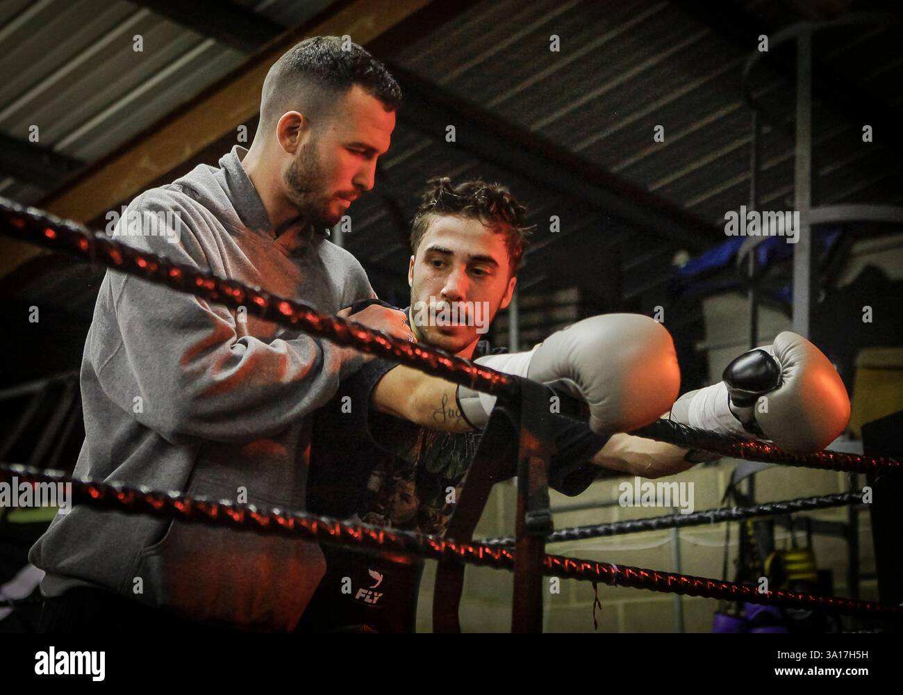 Albanian professional boxer hi-res stock photography and images - Alamy