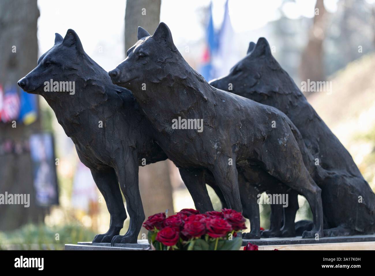 Anniversary commemoration of the death of Dmytro Kotsiubailo, founder ...