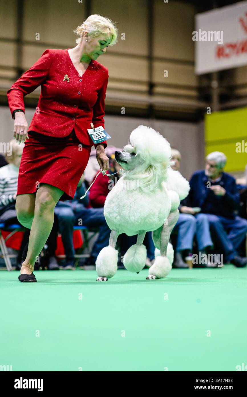 Birmingham, UK. 07th Mar, 2025. Birmingham, 7 March 2025. A Standard ...