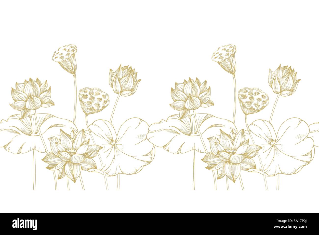 Lotus gold flowers and leaves seamless border. Vector illustration hand ...