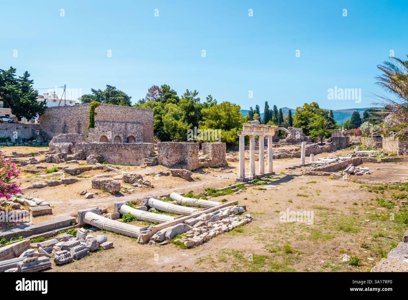Columns in West Archaeological area with ruins of ancient gymnasium ...