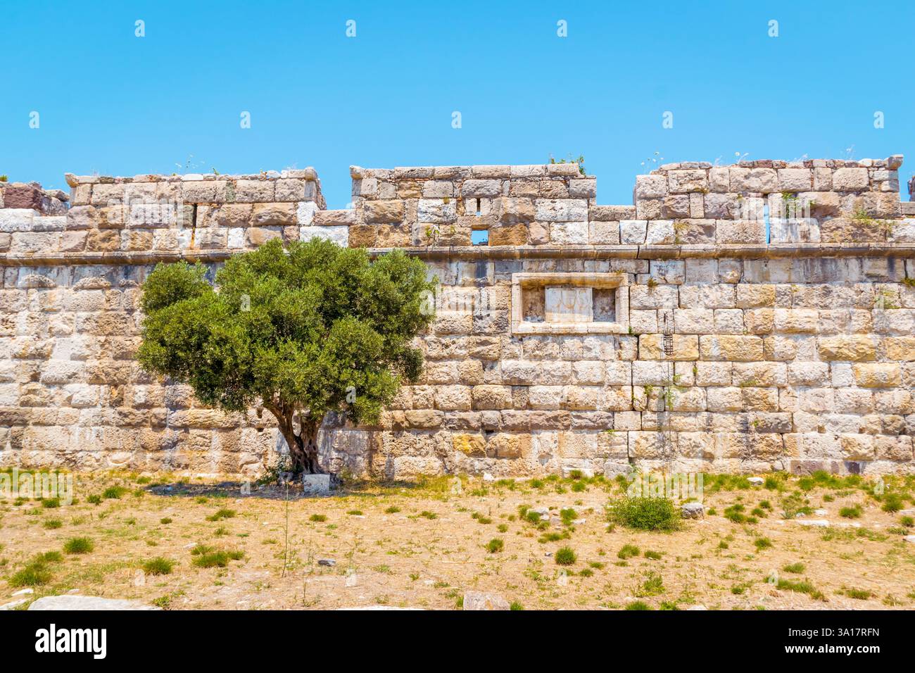 Castle of the Knights, or Neratzia's Castle in Kos town, Kos island ...