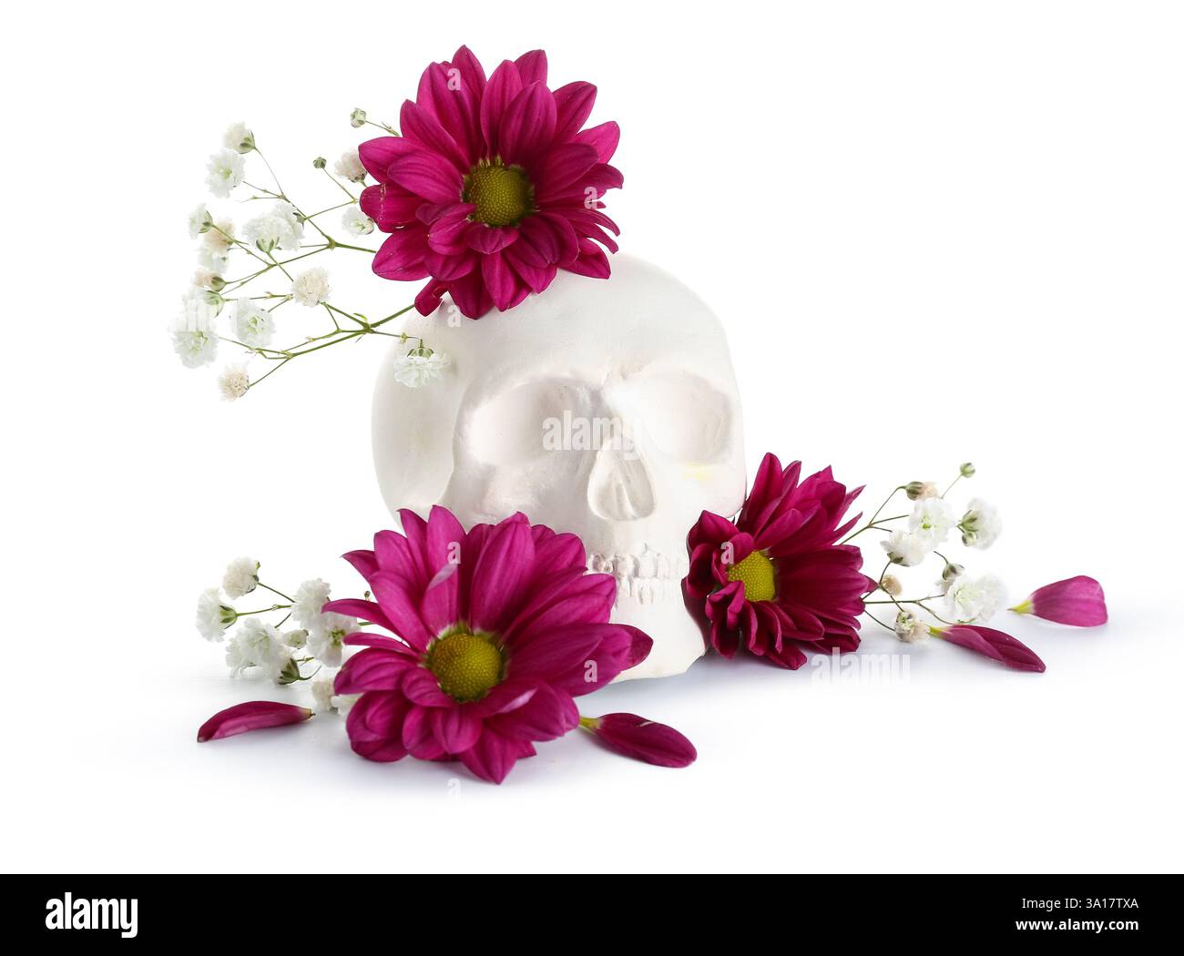 Pink skull on background Cut Out Stock Images & Pictures - Alamy
