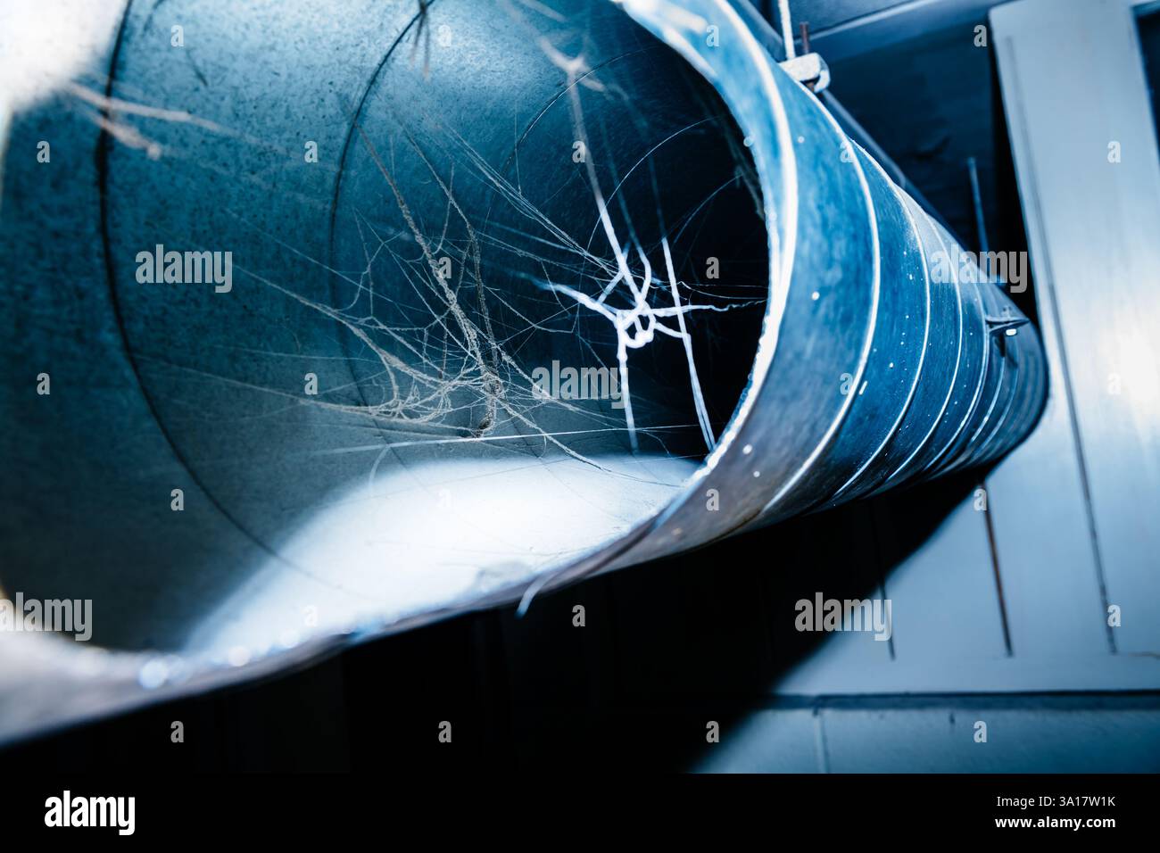 A close-up view inside a neglected ventilation pipe reveals a dense web ...