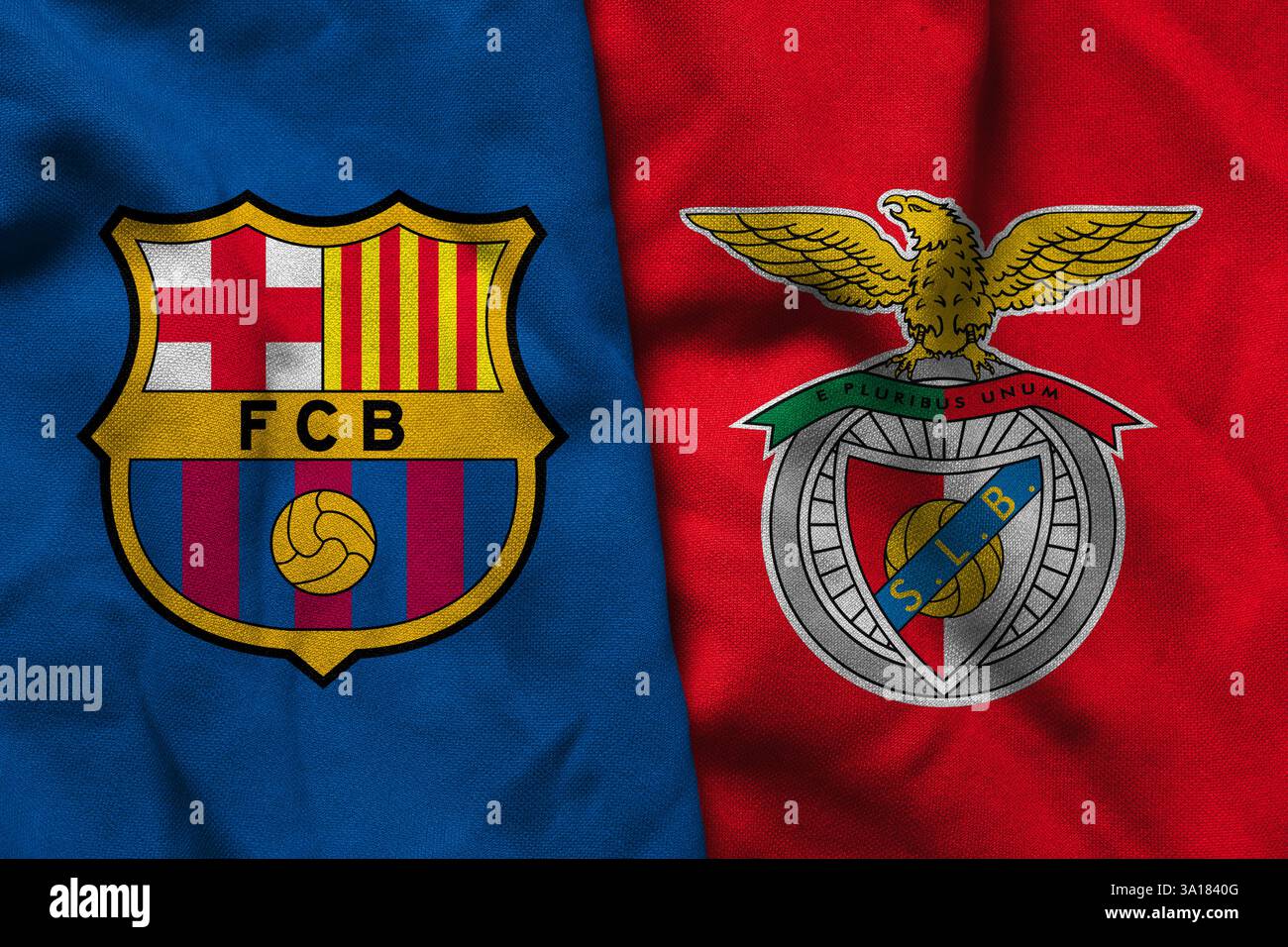 Pringsewu, Lampung; March 7, 2025; texture of the fabric logo of the FC ...