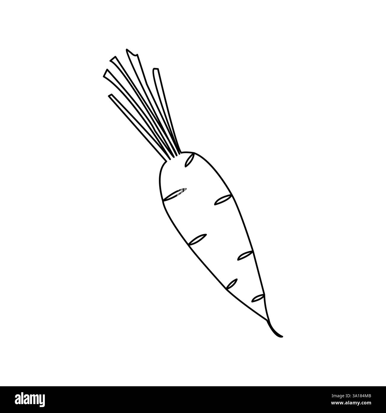 Continuous one line drawing of carrot abstract outline vector art ...