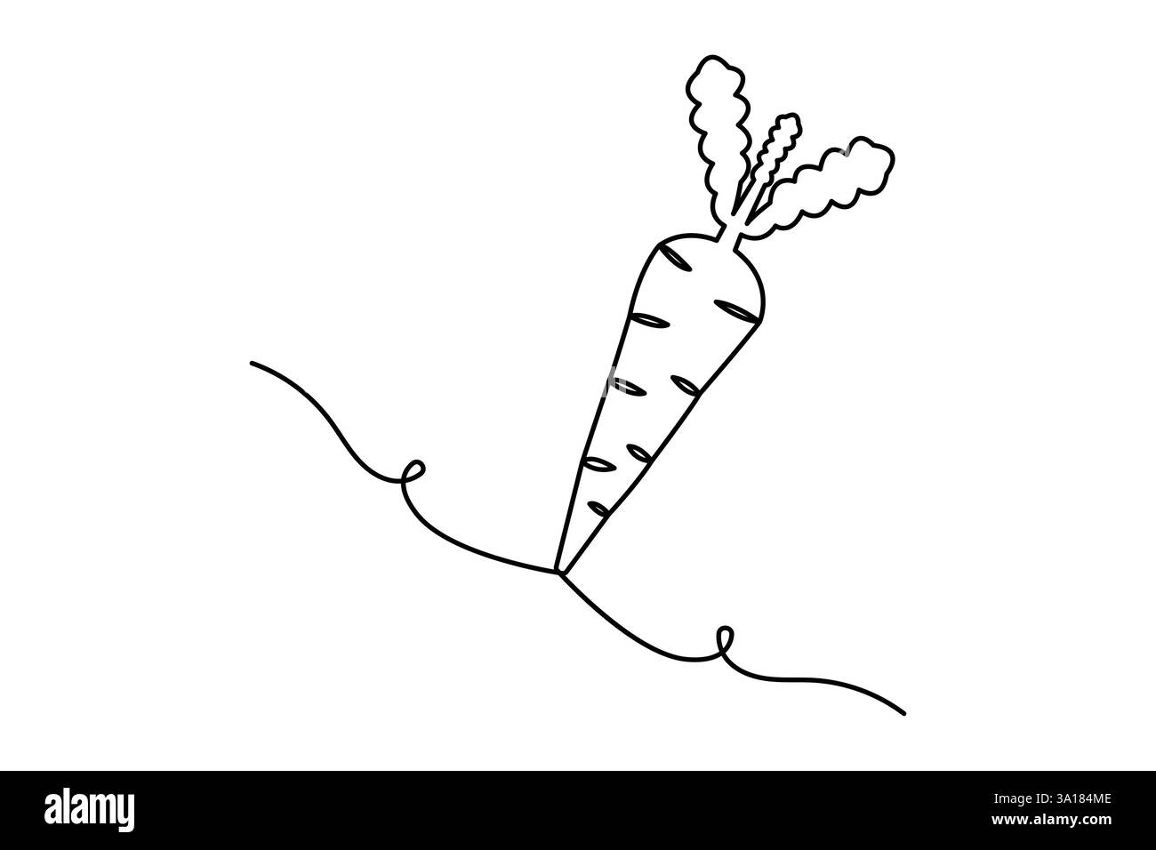 Continuous one line drawing of carrot abstract outline vector art ...