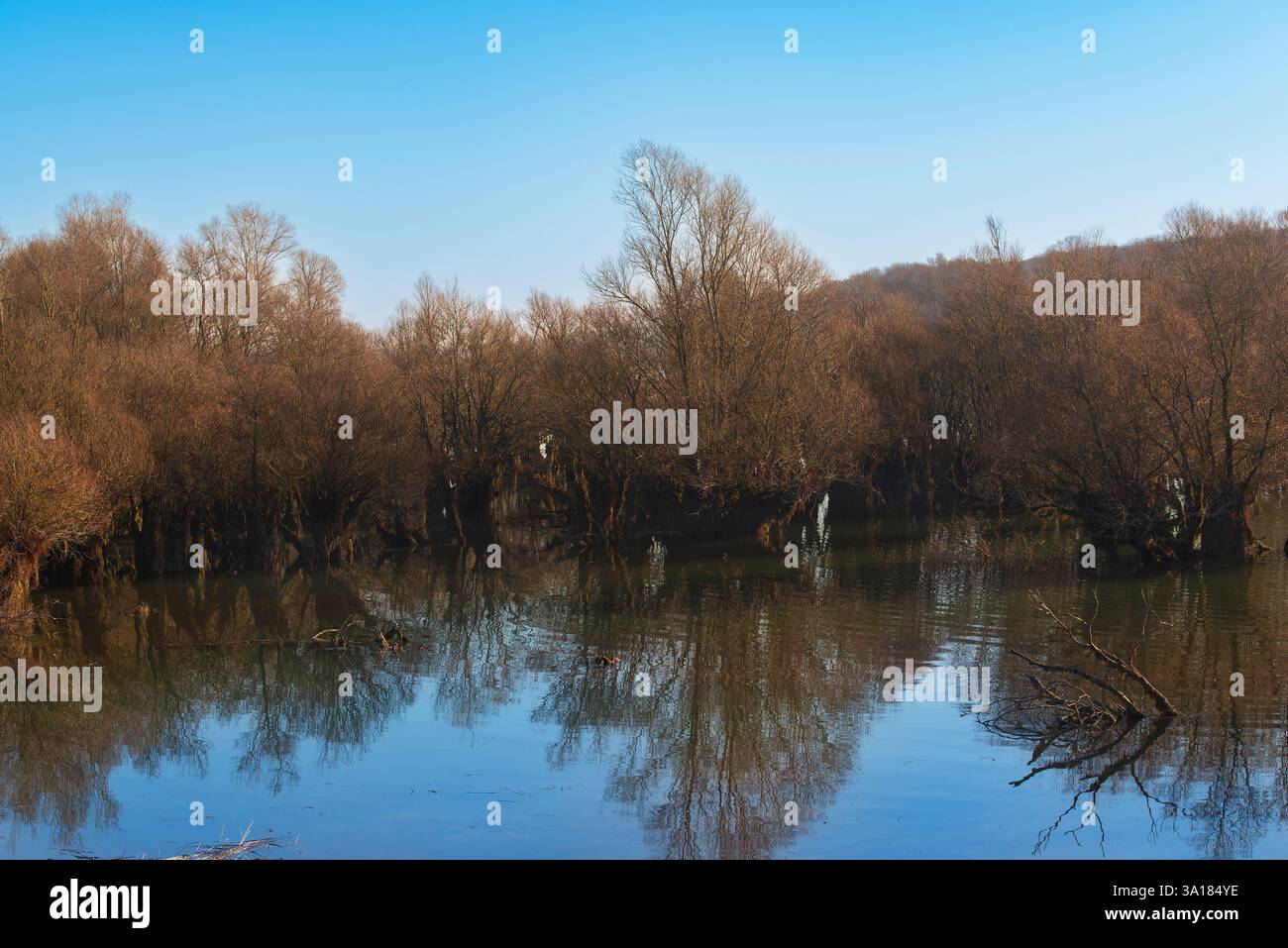 Lac d'orient and its vegetation in winter, reservoir lake of the Seine ...