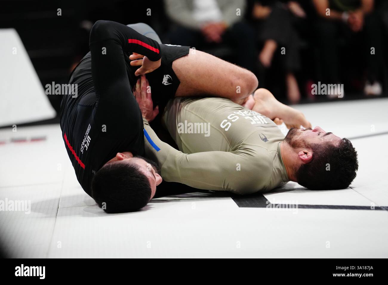 LAS VEGAS, NV - MARCH 6: Renato Canuto and Olivere Taza meet on the mat ...