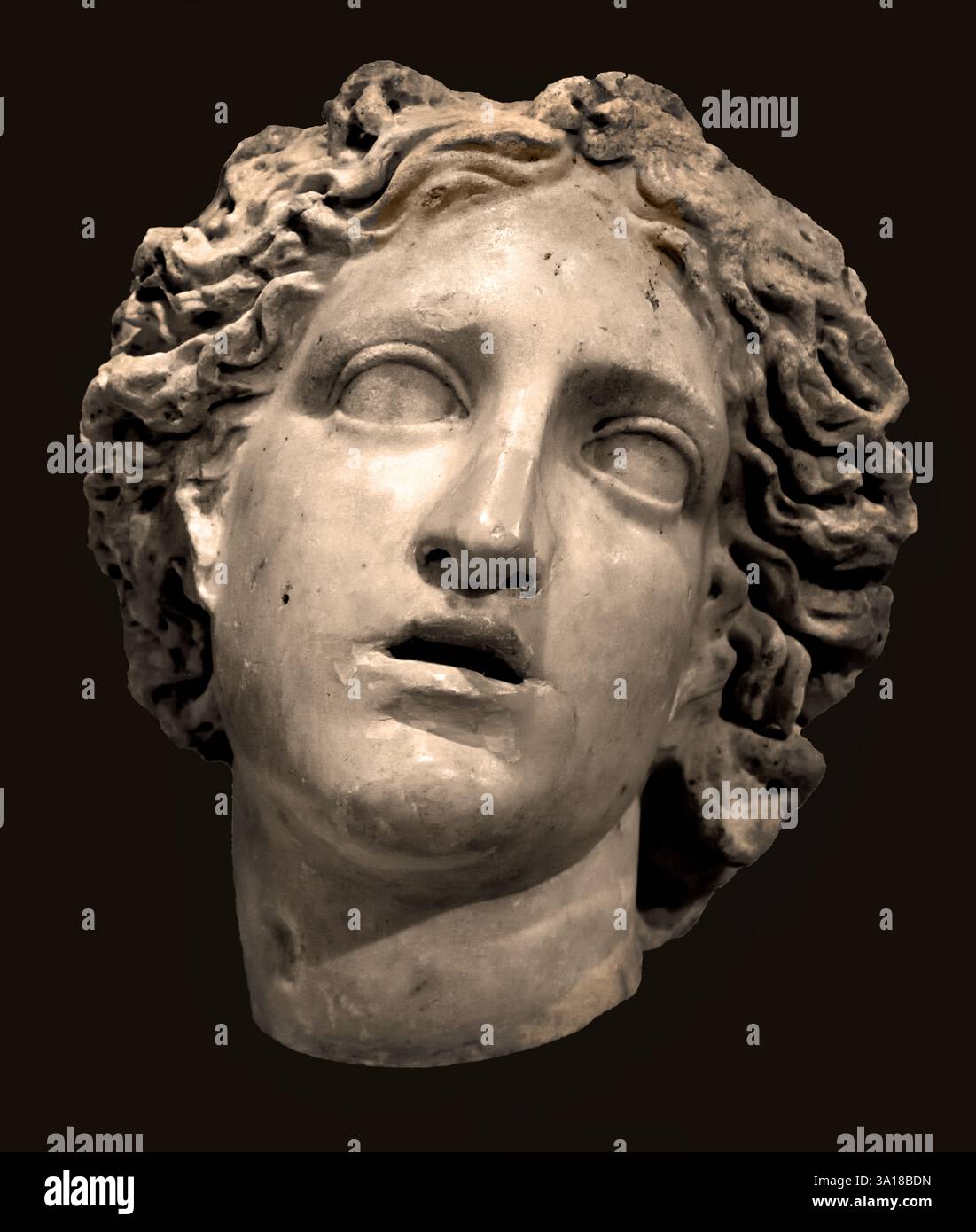 Etruscan Female Head 150-100 BC (original) plaster 34 x 29 x 26 cm ...